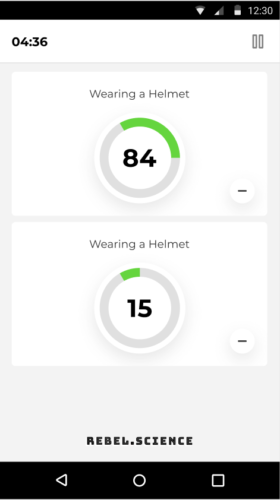 Development Roadmap - Lab Rebel Science